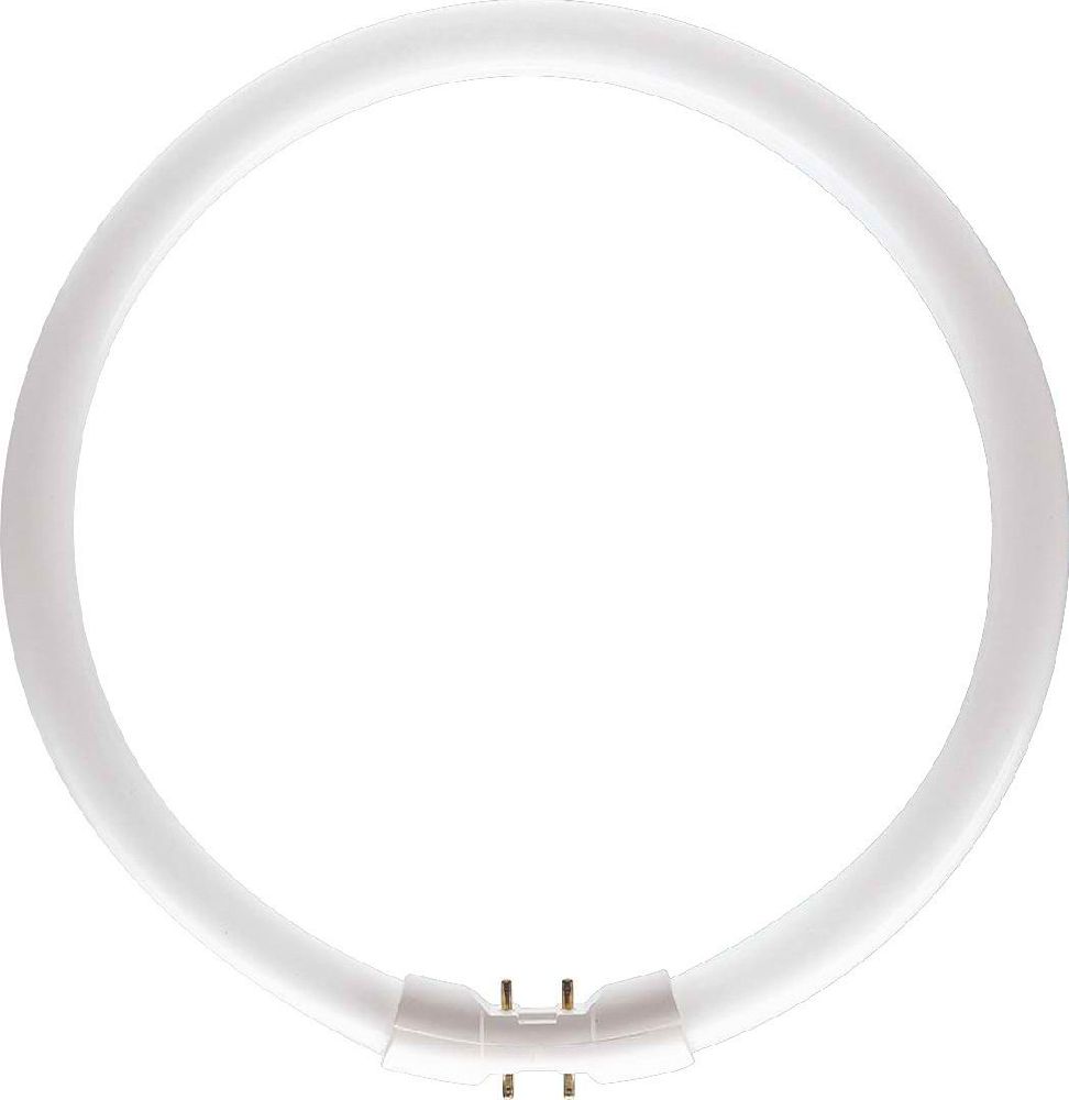 PHIL 166017 MASTER TL5 Circular 22W | Cooper Electric