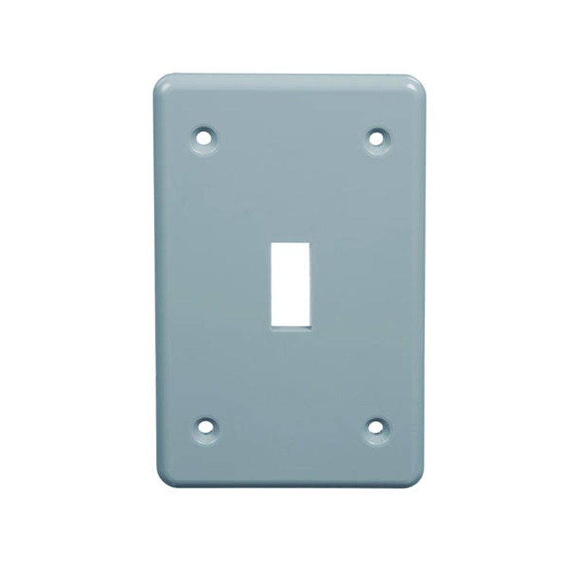 Carlon E98STSCR Single Gang FS Box Switch Plate Cover - Gray ...