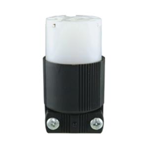 COOPER CWL615P 2P3W 15A 250V PLUG | Gordon Electric Supply, Inc.